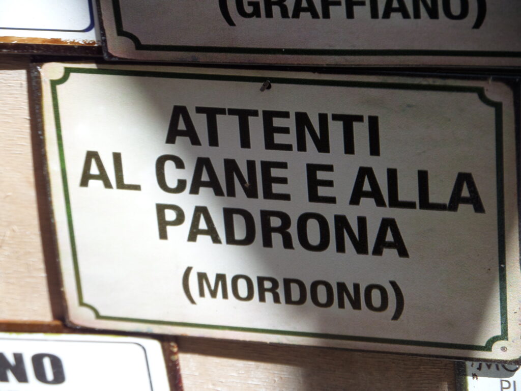 The Verb to Bite in Italian - Mordere - Learn Italian with Larry